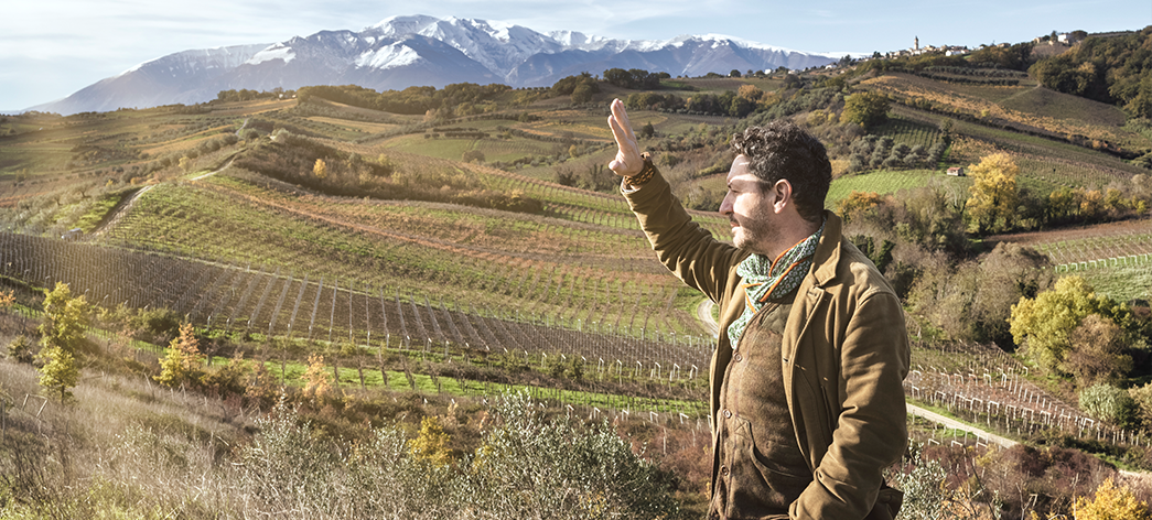 Vignamadre-Famiglia di Carlo – Biovino